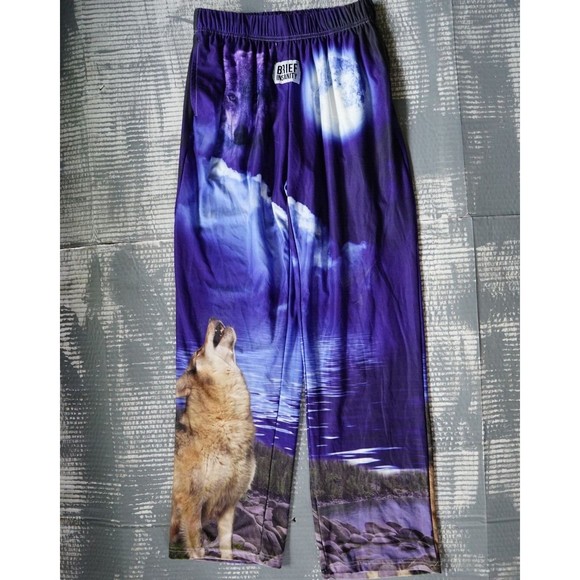 Brief Insanity | Pants | Brief Insanity Pants Mens Small Pajama Pants ...